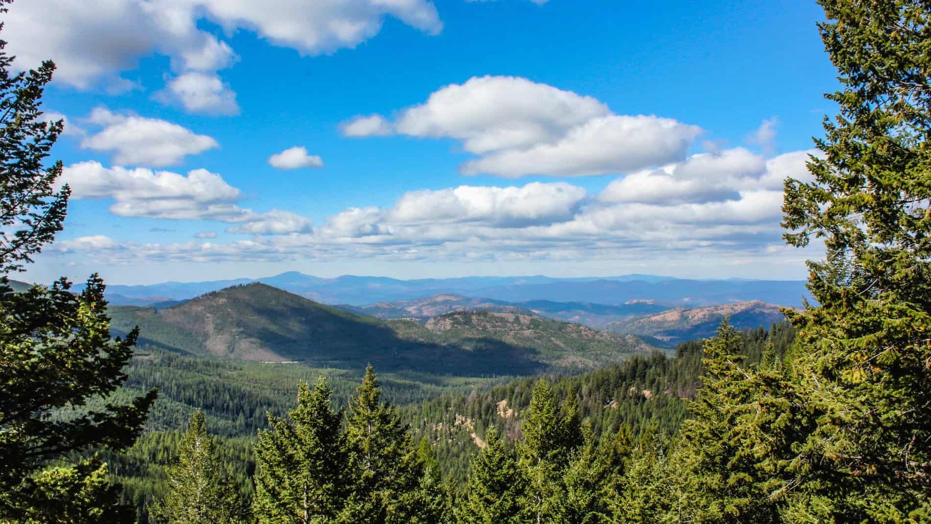Colville National Forest: A Landscape of Beauty, Heritage, and ...