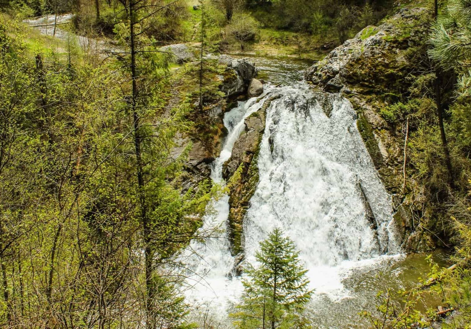 Colville National Forest - Visit Northeast Washington