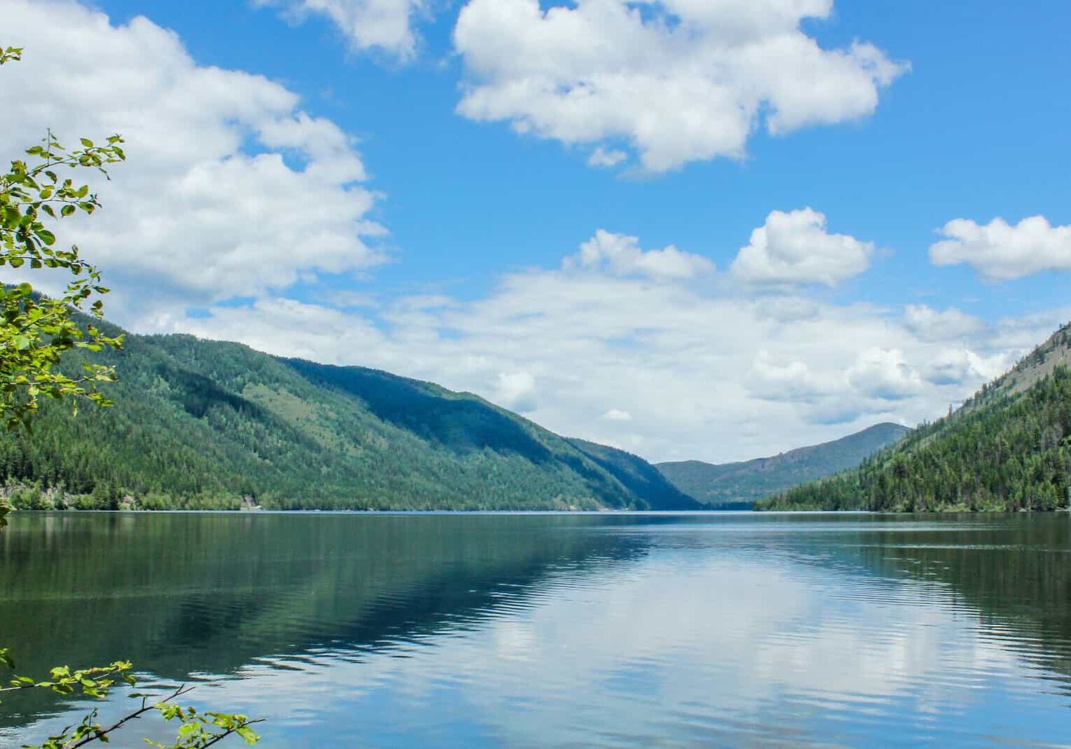 Colville National Forest: A Landscape of Beauty, Heritage, and ...